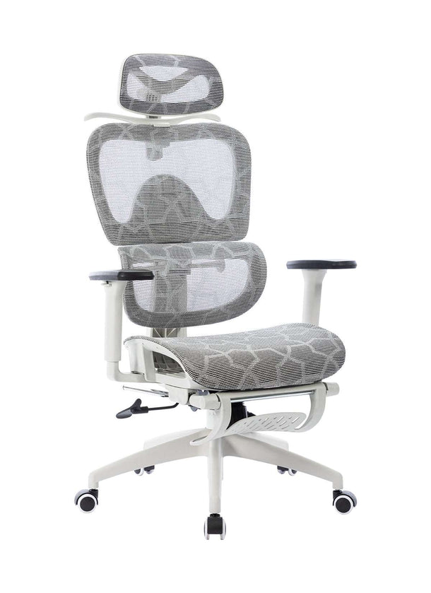 MUSSO E600 Coral Pattern Ergonomic Mesh Office Chair XL SIZE – musso.ph