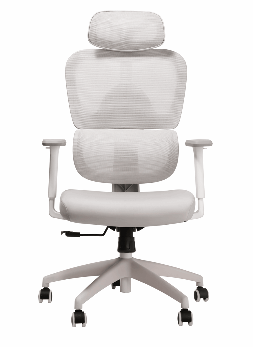 MUSSO E600 SE Ergo Chairs 3D Handrail and Adjustable Headrest Ergonomi