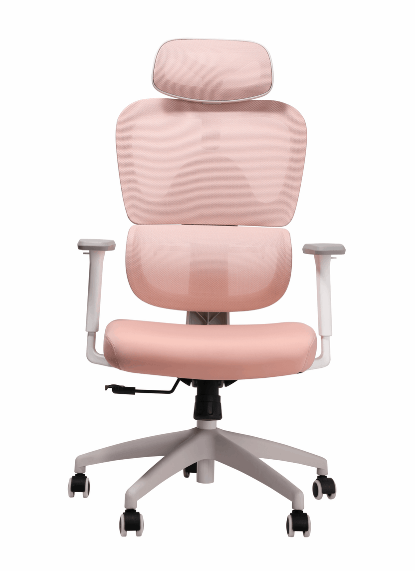 Musso Showroom in the Philippines - Experience Ultimate Comfort and Performance – musso.ph